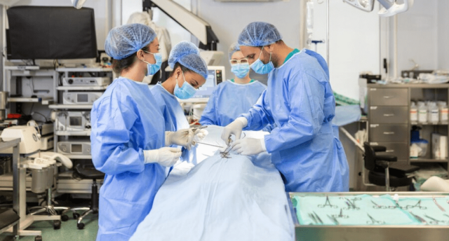 Step-by-Step Procedure for Laparoscopy Treatment in Varanasi: How to make your first move? - IVF ...